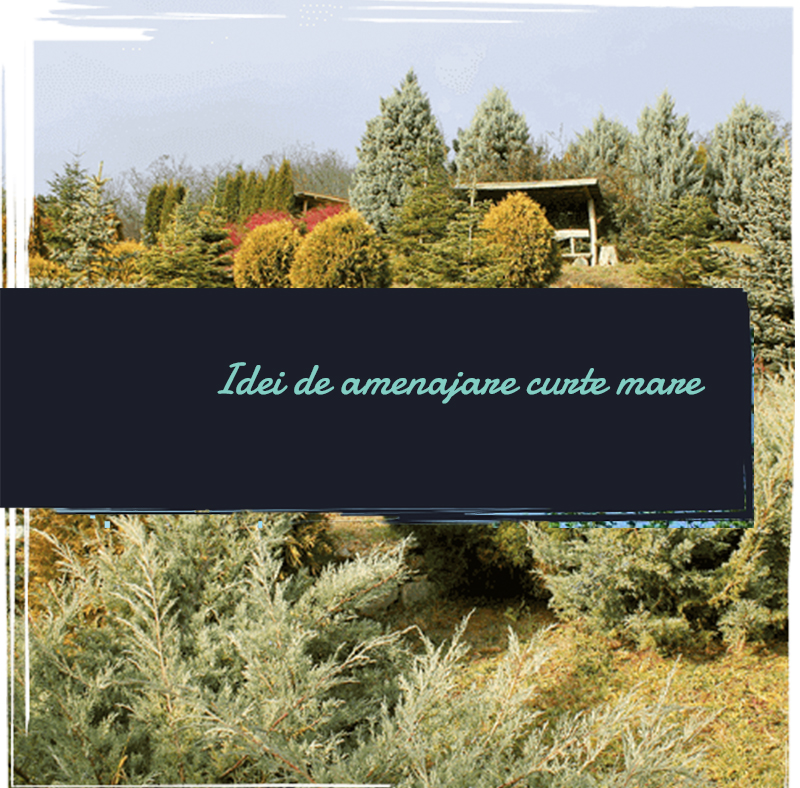 Idei de amenajare curte mare - Unique Landscaping